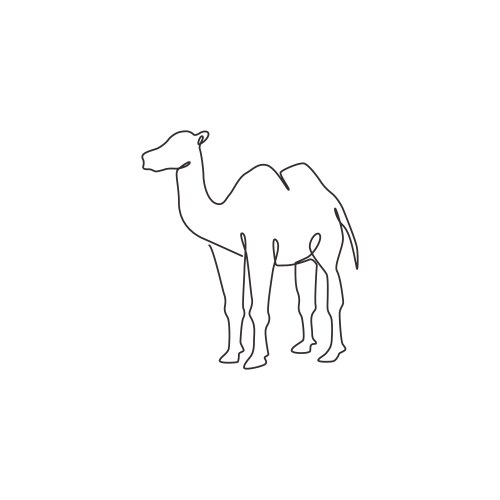 Single continuous line drawing of wild arabian Vector Image
