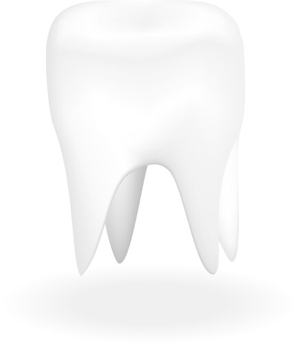 Tooth Vector Images (over 130,000)