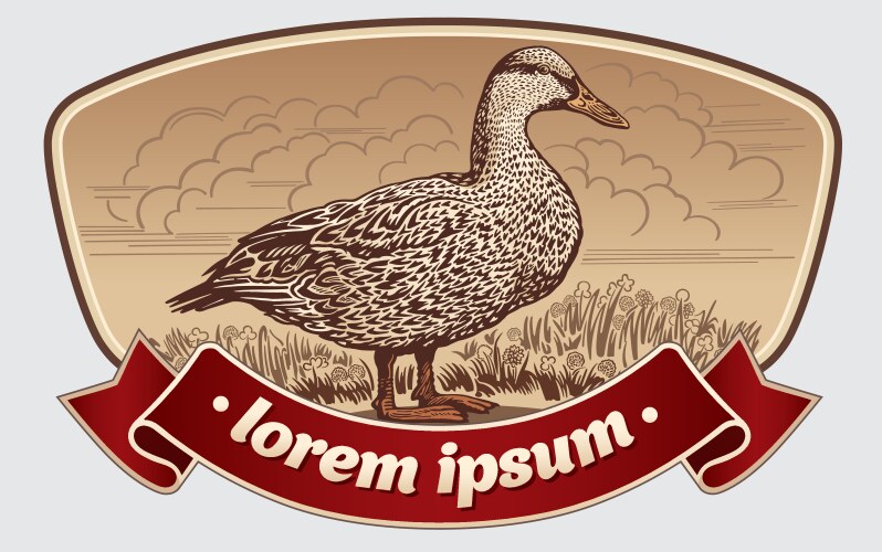 Duck Vector Images (over 54,000)