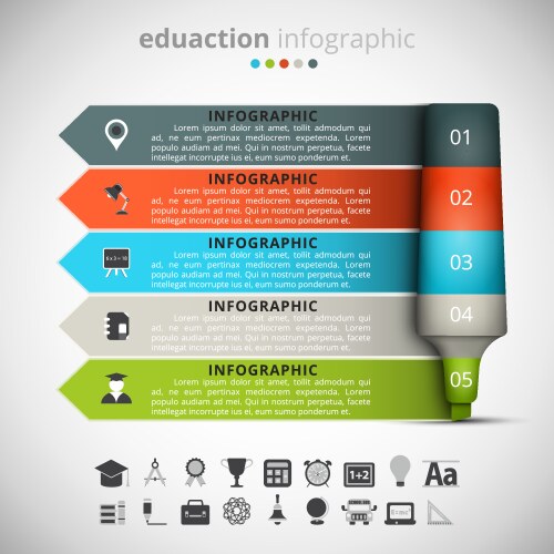 Education infographic Royalty Free Vector Image