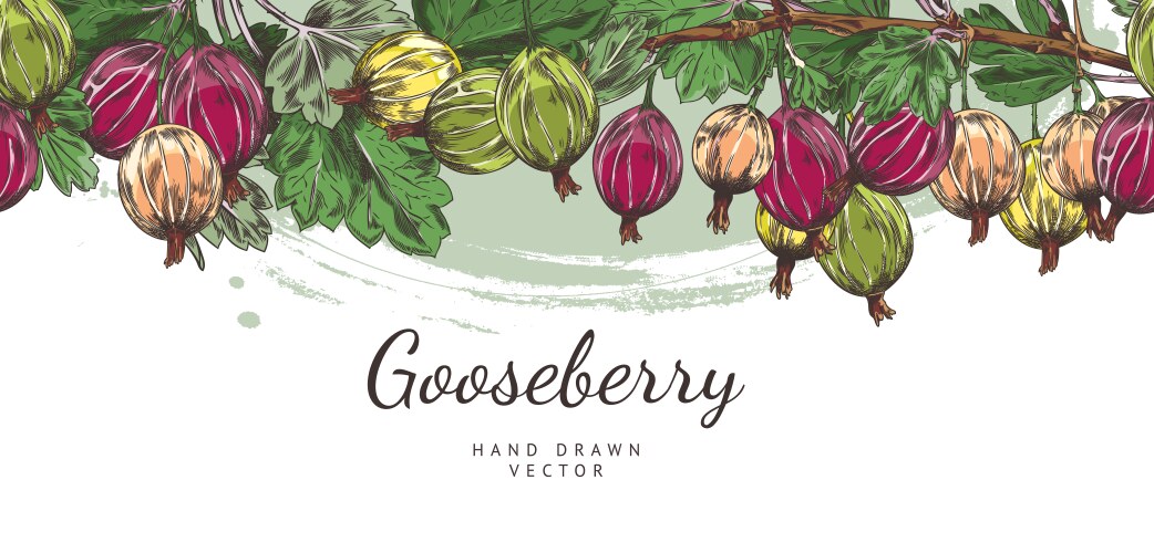 Healthy Food Border Vector Images (over 7,500)