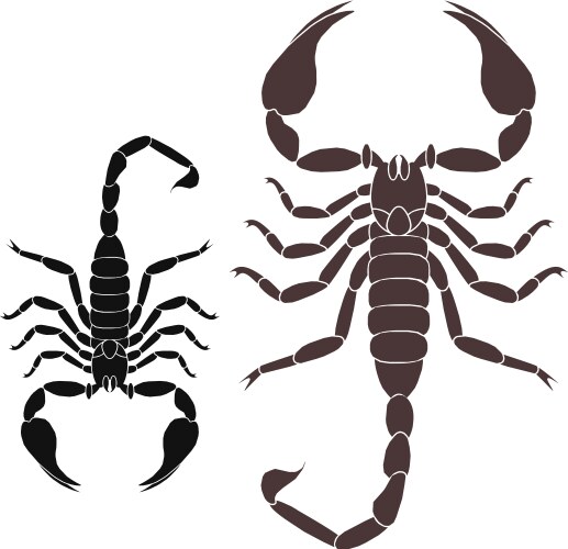 Scorpion Vector Images (over 8,600)