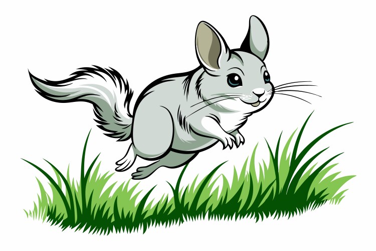 Chinchilla jump in grass silhouette o Royalty Free Vector