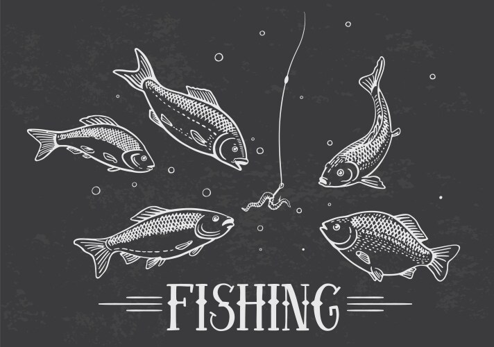 Fly Fishing Vector Images (over 10,000)