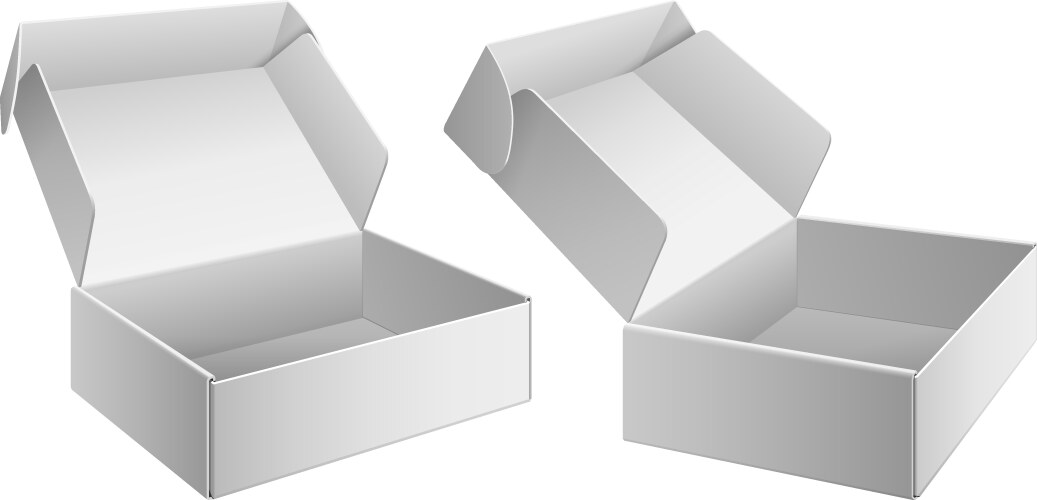 Realistic white package carton box for software Vector Image