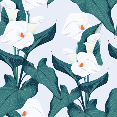 Calla Vector Images (over 2,600)