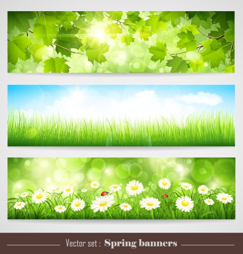 Spring banners Royalty Free Vector Image - VectorStock