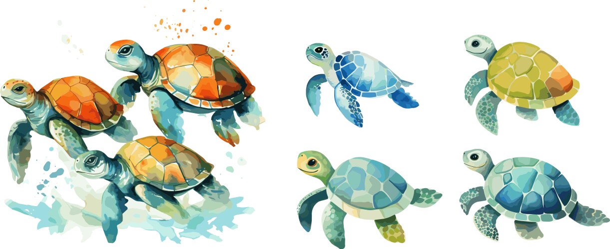 Sketches Of Sea Turtles