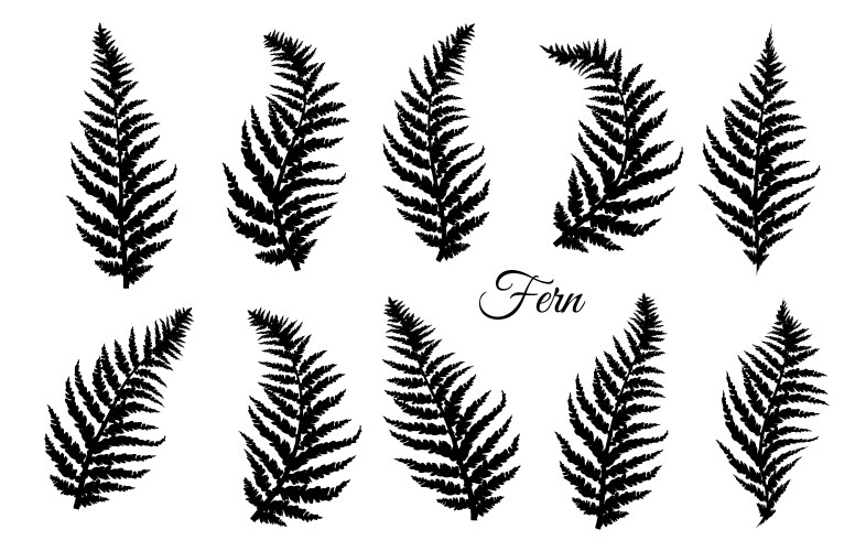 Fern Line Drawing Vector Images (over 1,000)