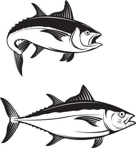 Tuna Vector Images (over 32,000)