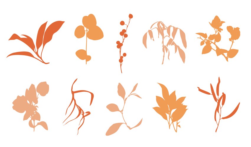 Botanical floral silhouettes set hand drawn plants