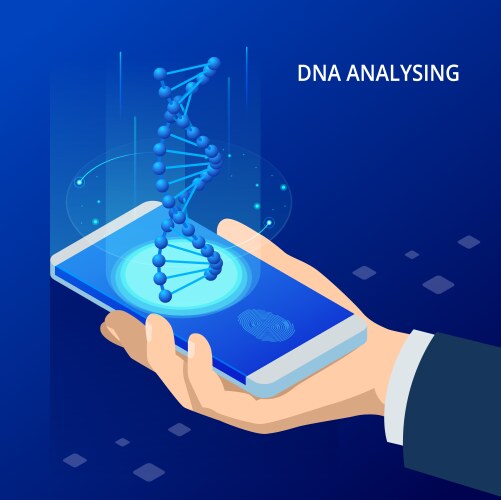 Isometric developing programming and coding Vector Image Isometric developing programming and coding Vector Image