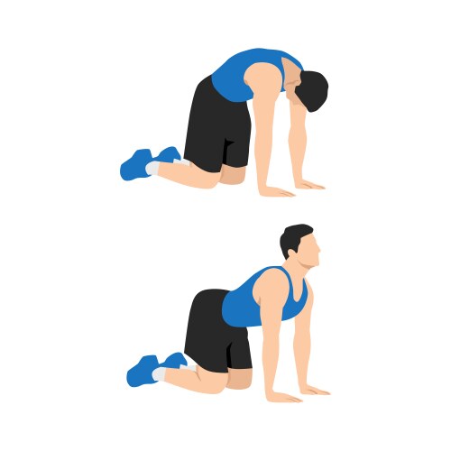 Back Exercise Vector Images (over 8,300)