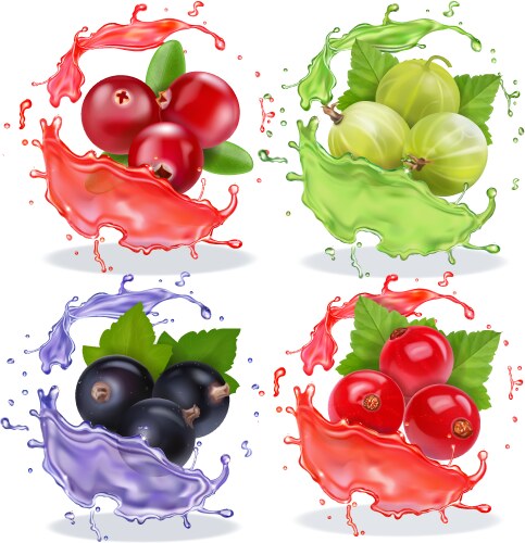 Realistic raspberry splash flow with berry Vector Image