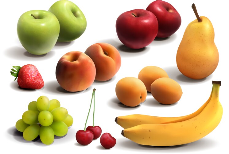 Different fruits Royalty Free Vector Image - VectorStock