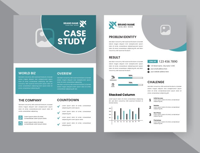 Business case study layout flyer Royalty Free Vector Image
