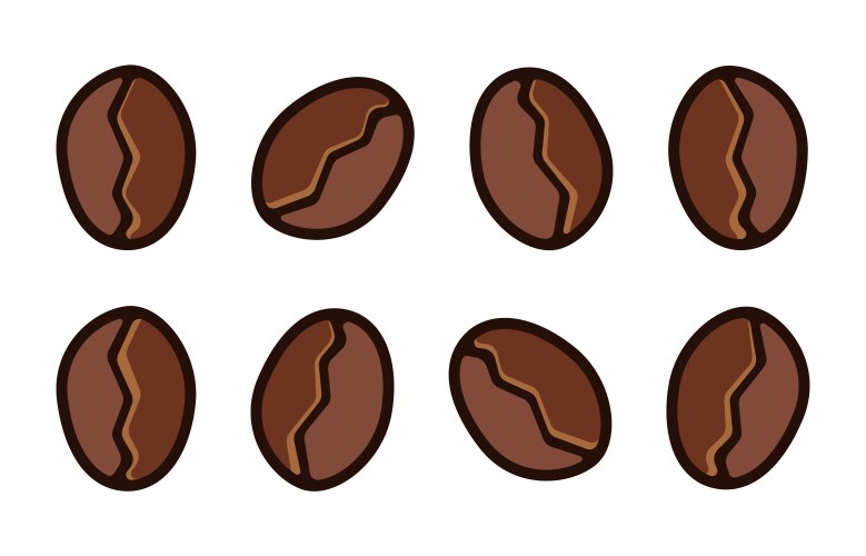 Coffee beans roast stages Royalty Free Vector Image