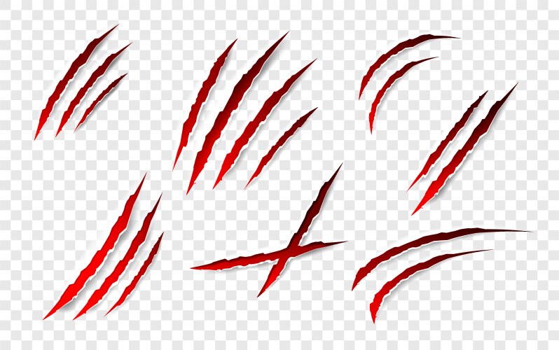 Lion Scratch Vector Images (over 970)