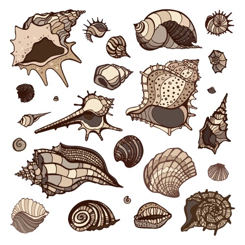 Sea shells set blurred background Royalty Free Vector Image