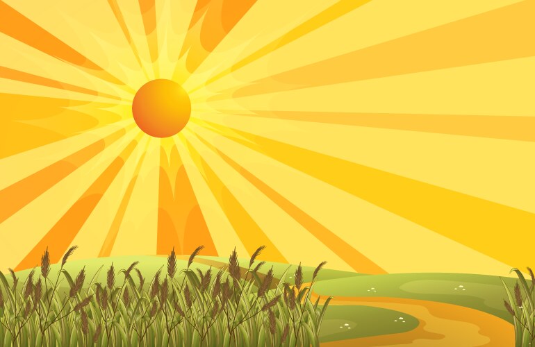Sun rays orange background sunrise and sunset Vector Image