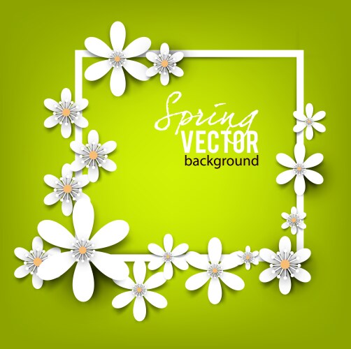 Beautiful background with white spring flowers Vector Image