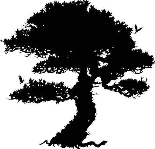 Pine tree Royalty Free Vector Image - VectorStock