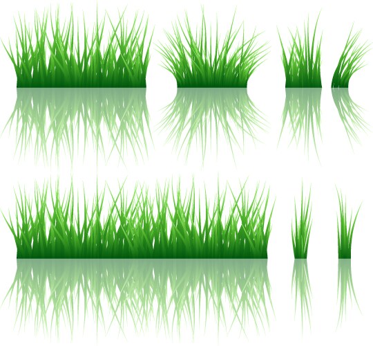 Natural green grass background Royalty Free Vector Image