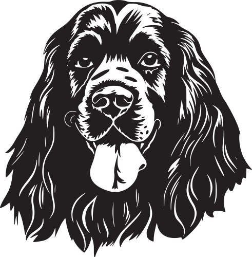 Cocker spaniel - black and white Royalty Free Vector Image