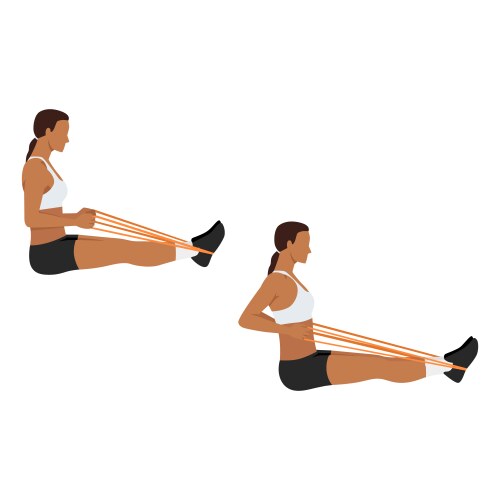 Woman doing seated low cable back rows exercise Vector Image
