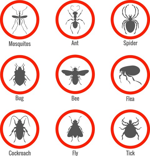 Insect Vector Images (over 240,000)