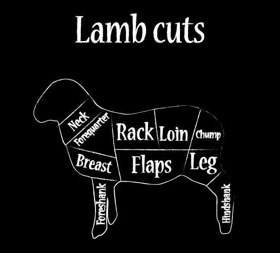 Lamb Vector Images (over 34,000)