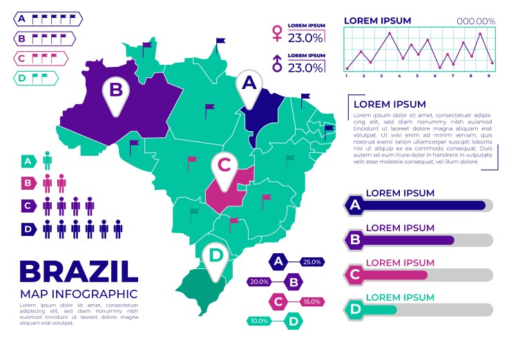 Flat brazil map infographic Royalty Free Vector Image