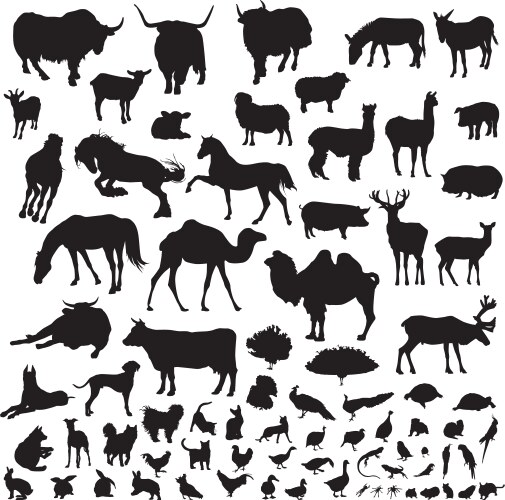 Animals Outlines Vector Images (over 390,000)