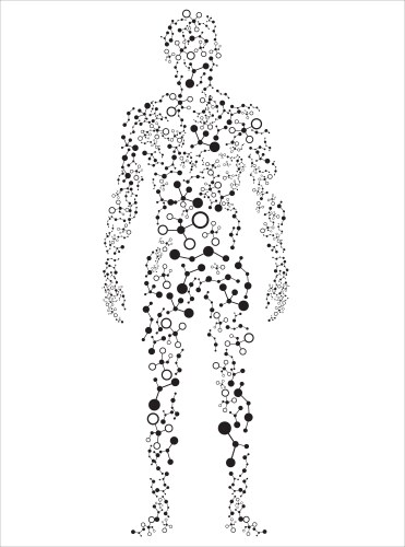 Body Vector Images (over 820,000)