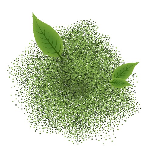 Leaf Png Vector Images (over 1,700)