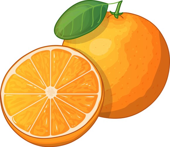 Orange Cartoon Vector Images (over 1.3 million)