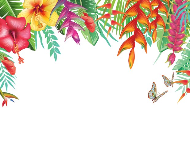 Frame from tropical plants and exotic flowers Vector Image