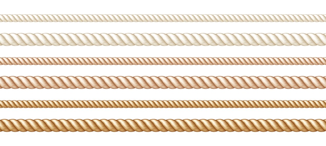 Collection various ropes string on white Vector Image