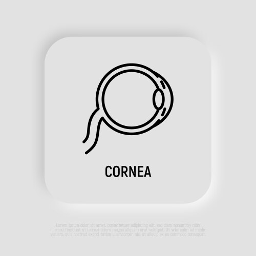 Cornea flat icon structure of human eye Royalty Free Vector