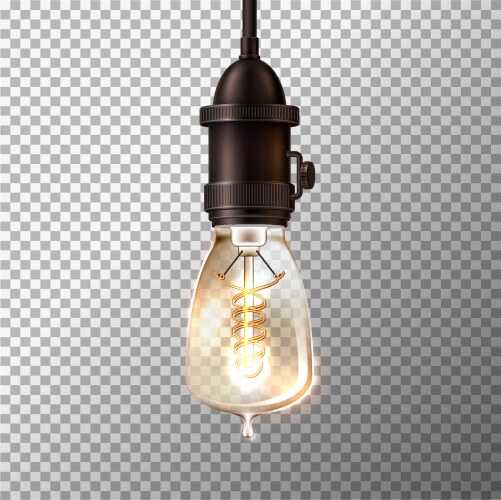 Retro light bulb on transparent background Vector Image