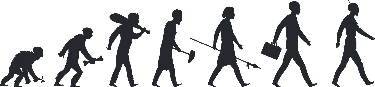 Biology human evolution stages evolutionary Vector Image