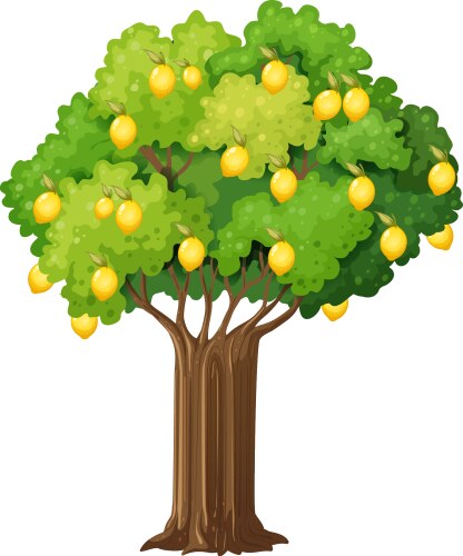 Lemon tree isolated on white background Royalty Free Vector