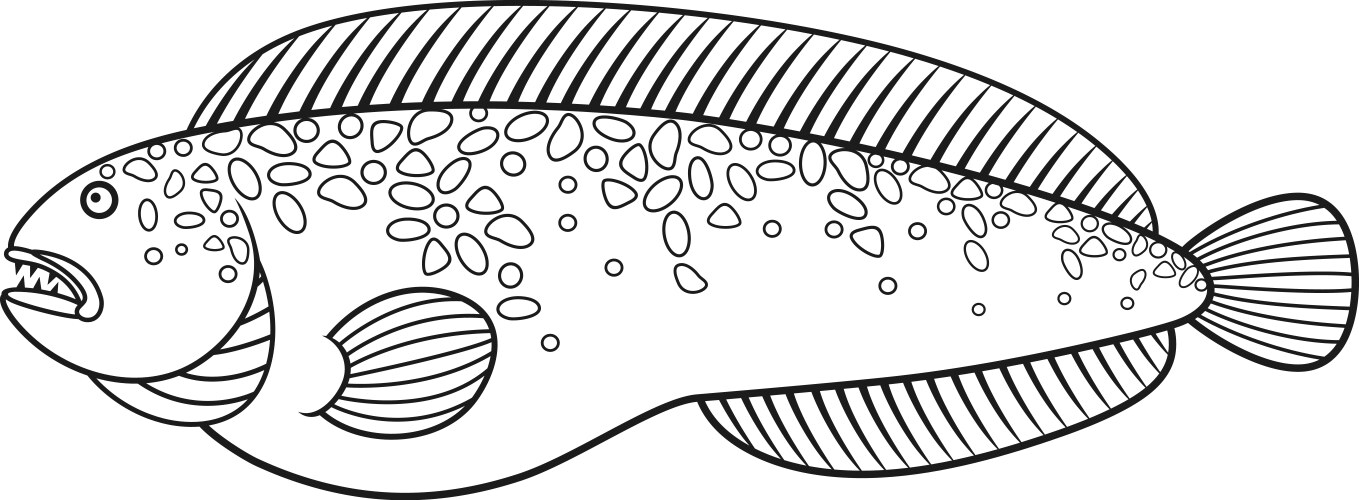 Redtail catfish Royalty Free Vector Image - VectorStock