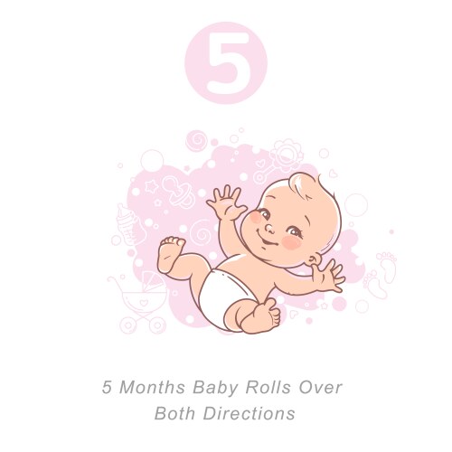 Little basix month badevelopment stages Royalty Free Vector