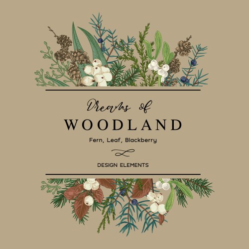 Forest Frame Vector Images (over 41,000)