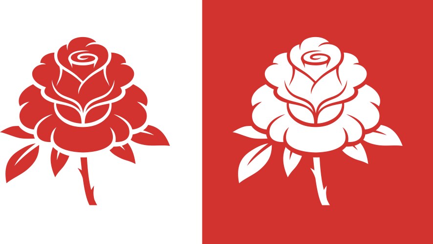 Rose colorful Royalty Free Vector Image - VectorStock