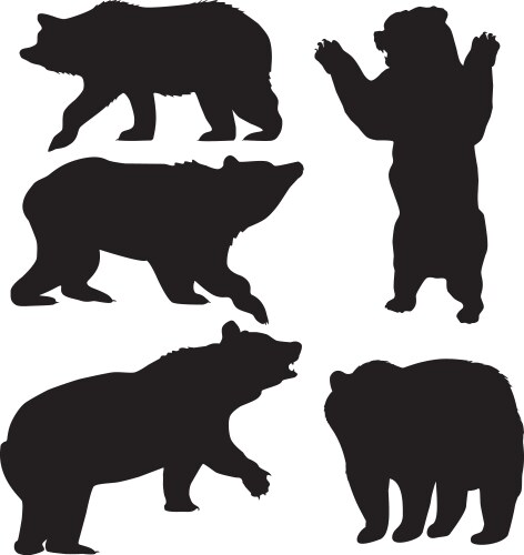 A bear Royalty Free Vector Image - VectorStock