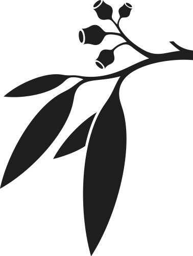 Eucalyptus Vector Images (over 20,000)