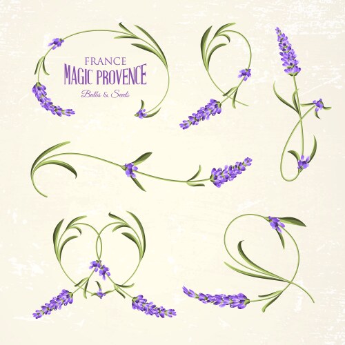 Lavender Vector Images (over 20,000)