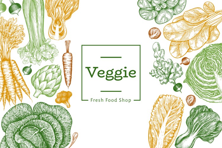 Hand-drawn vegetables banner design hand-sketched Vector Image